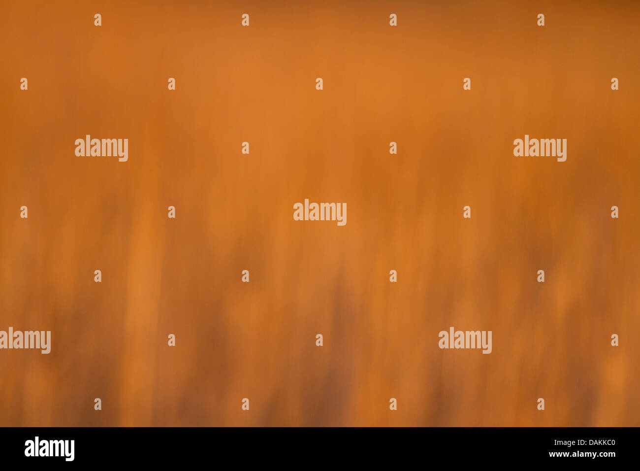 Warm Tone High Resolution Stock Photography and Images - Alamy