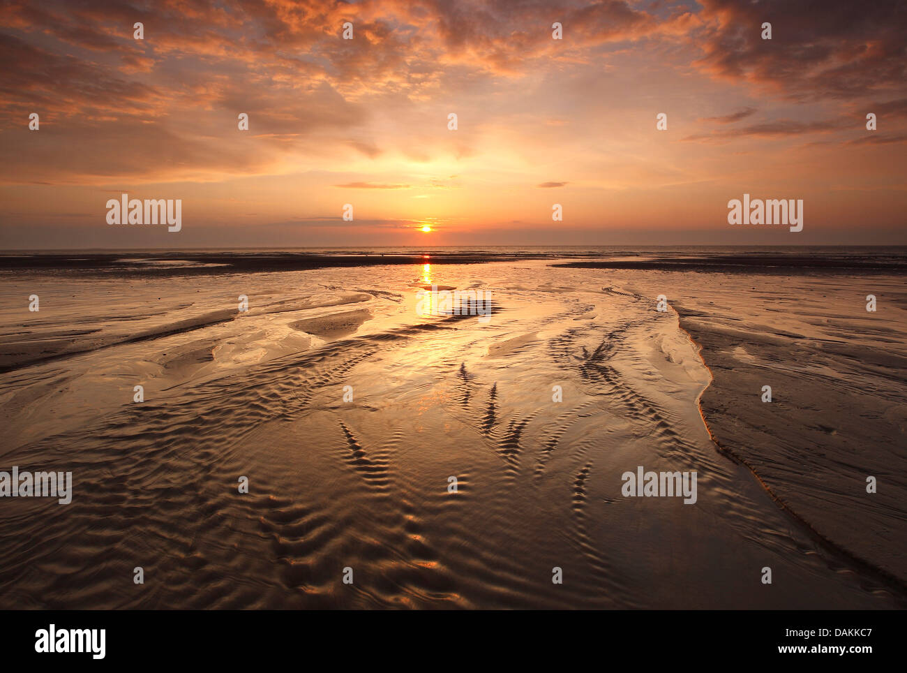 Low tide in intertidal hi-res stock photography and images - Alamy