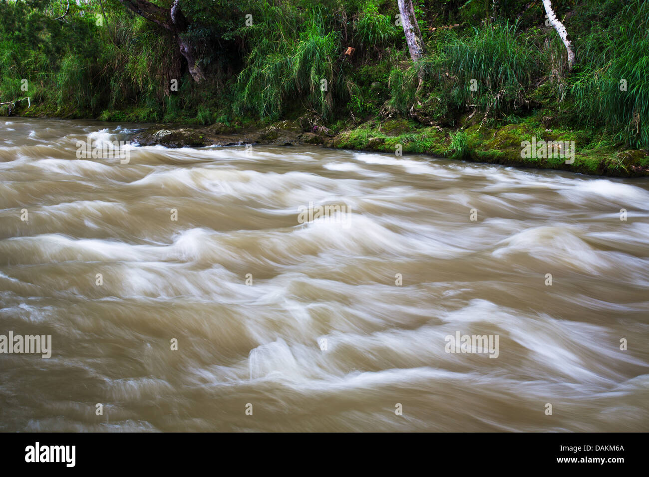 Flowing River USA Flowing River In Autumn Forest 4k. Relaxing River,
