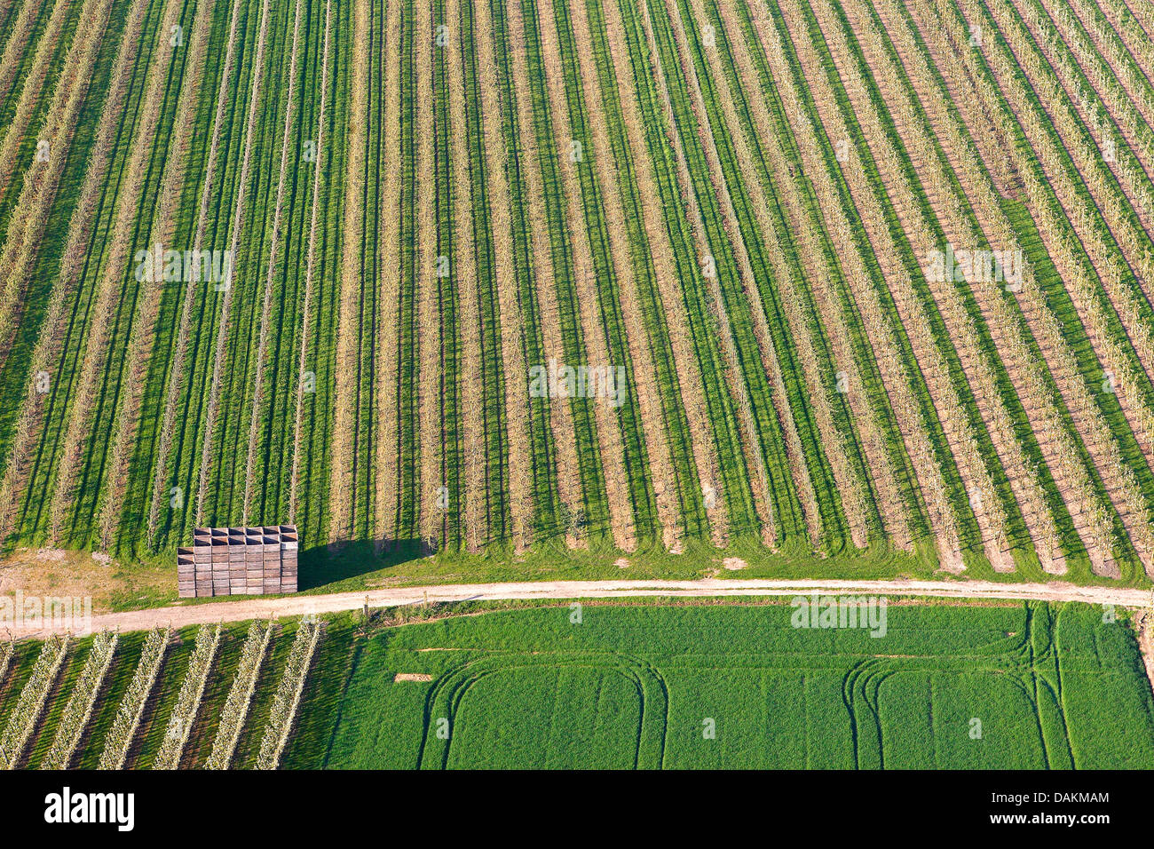 Aerial view apple orchard in hi-res stock photography and images - Alamy