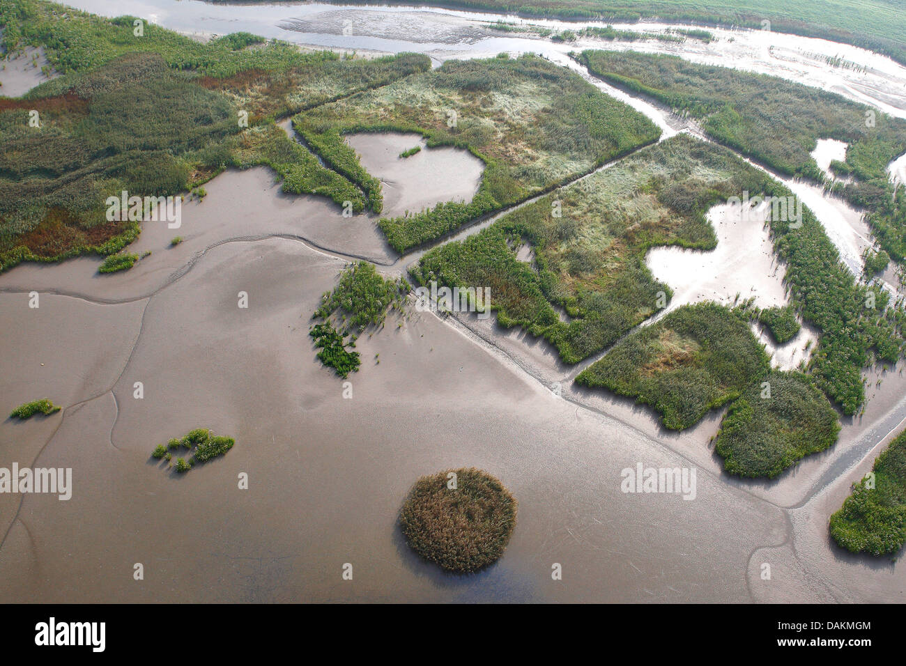 Aerial view of river delta hi-res stock photography and images - Alamy