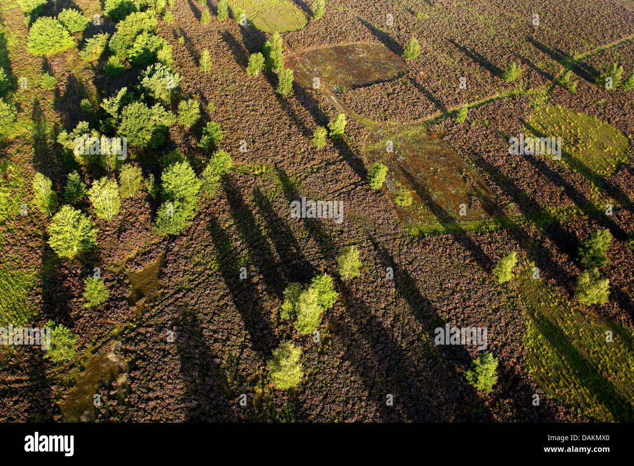 Belgian limburg hi-res stock photography and images - Alamy