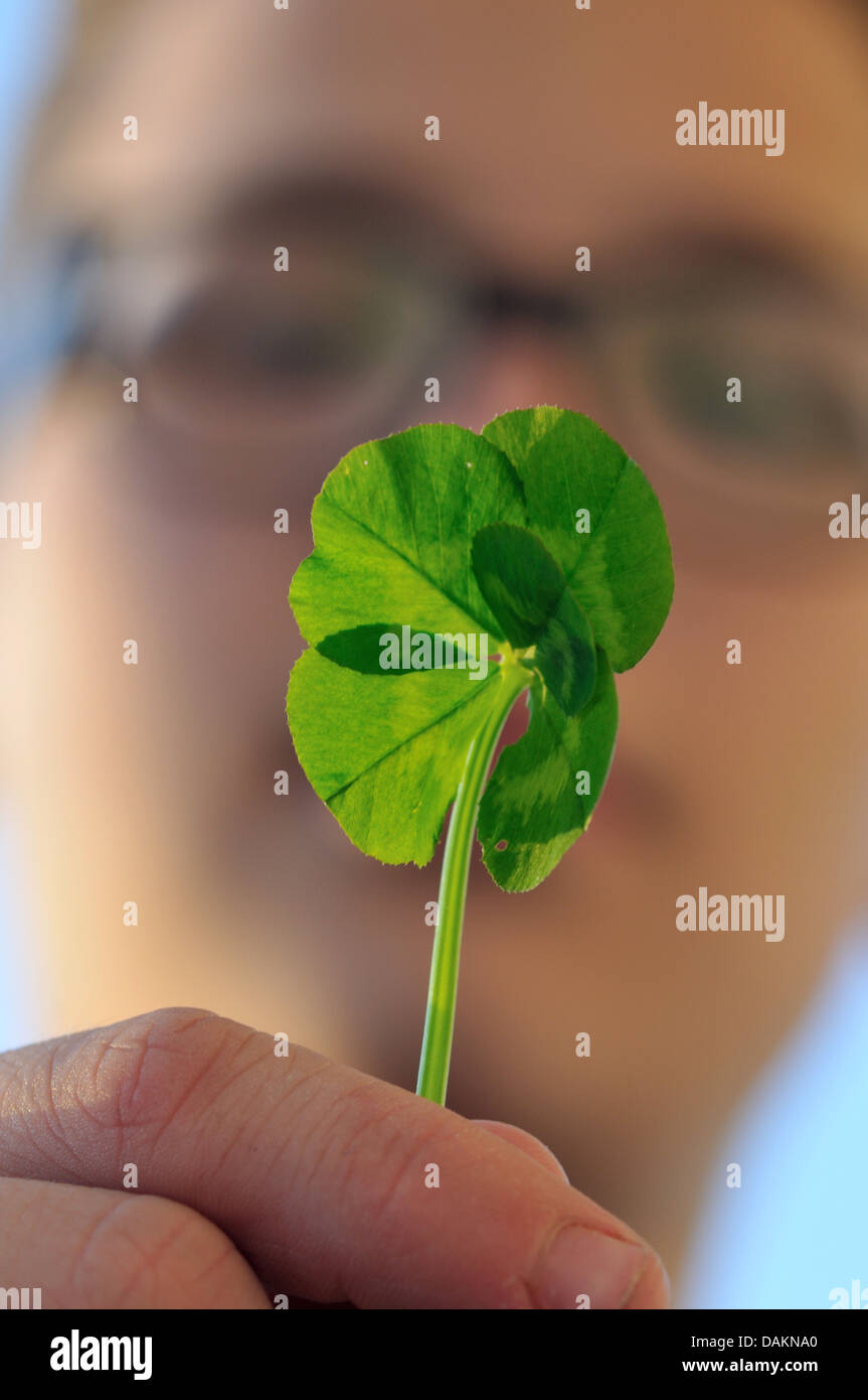 Trefoil clover hi-res stock photography and images - Alamy