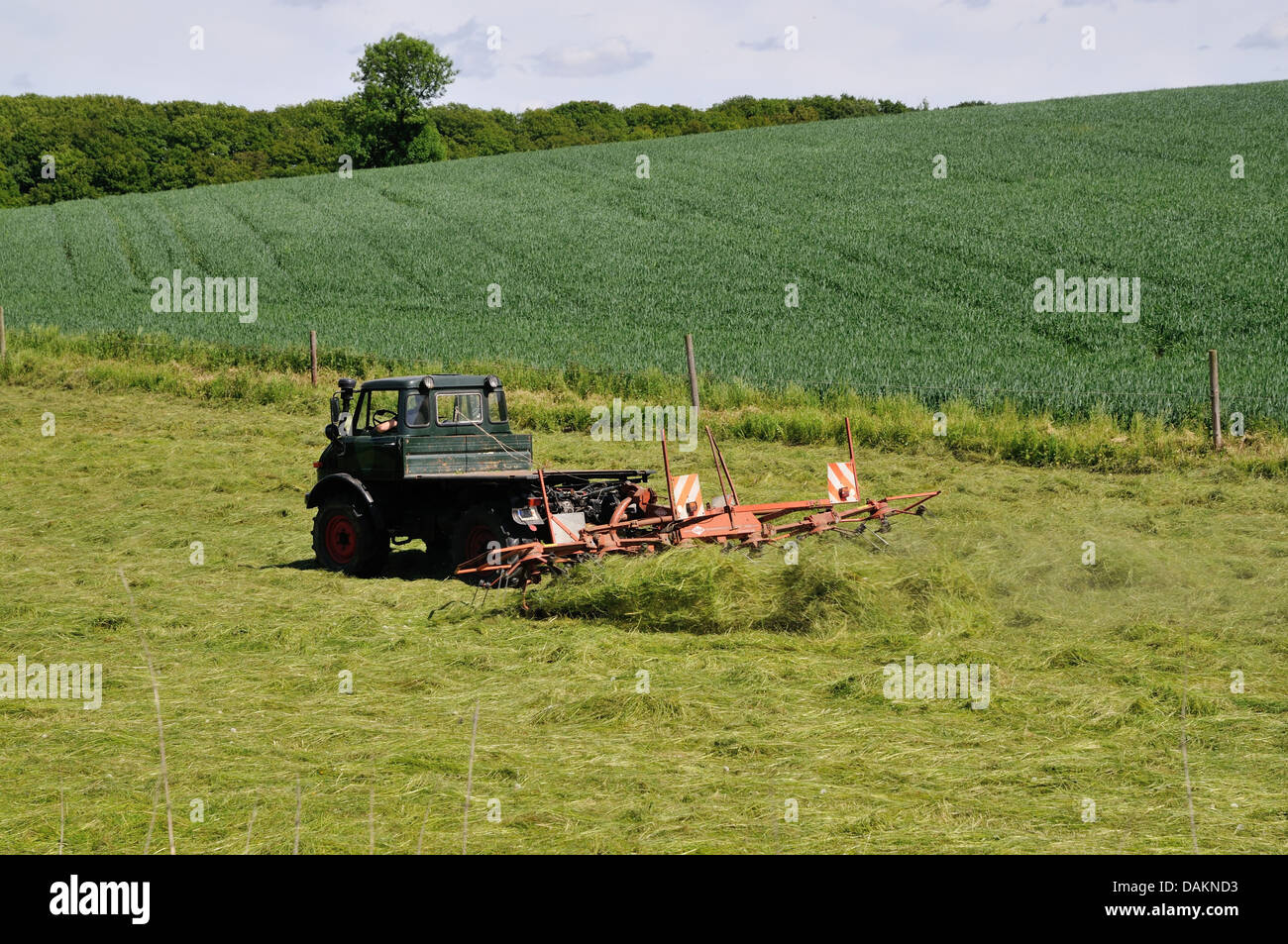 making hay with the hay tedder, Germany, North Rhine-Westphalia, Ruhr ...