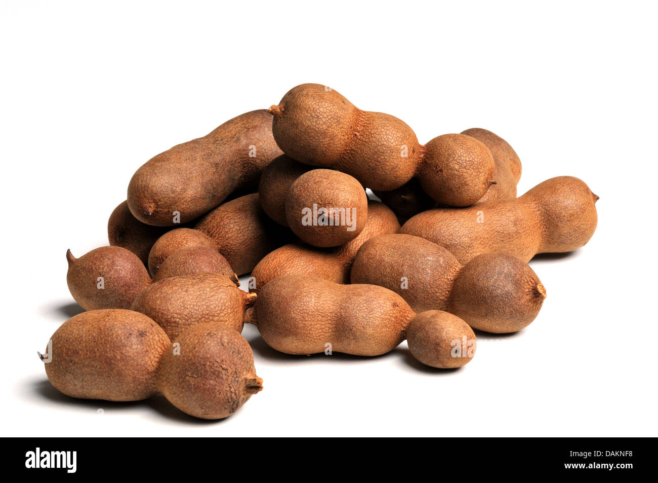 Tamarind plant hi-res stock photography and images - Alamy