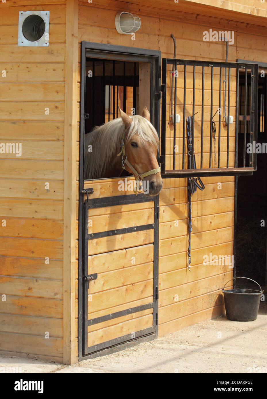 Wooden horse stable hi-res stock photography and images - Alamy