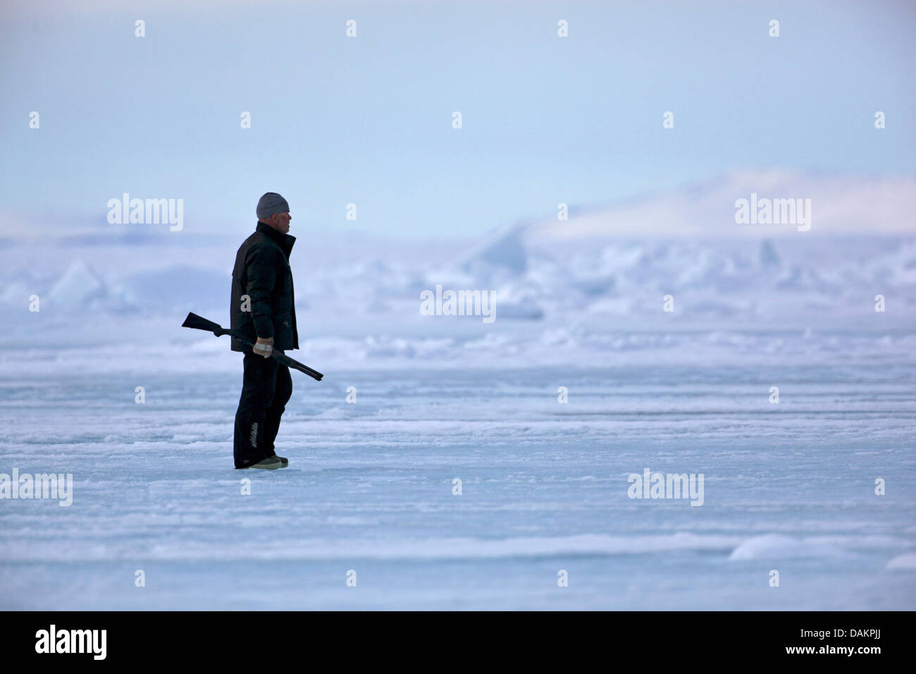 polar bear guard, Canada, Nunavut Stock Photo - Alamy