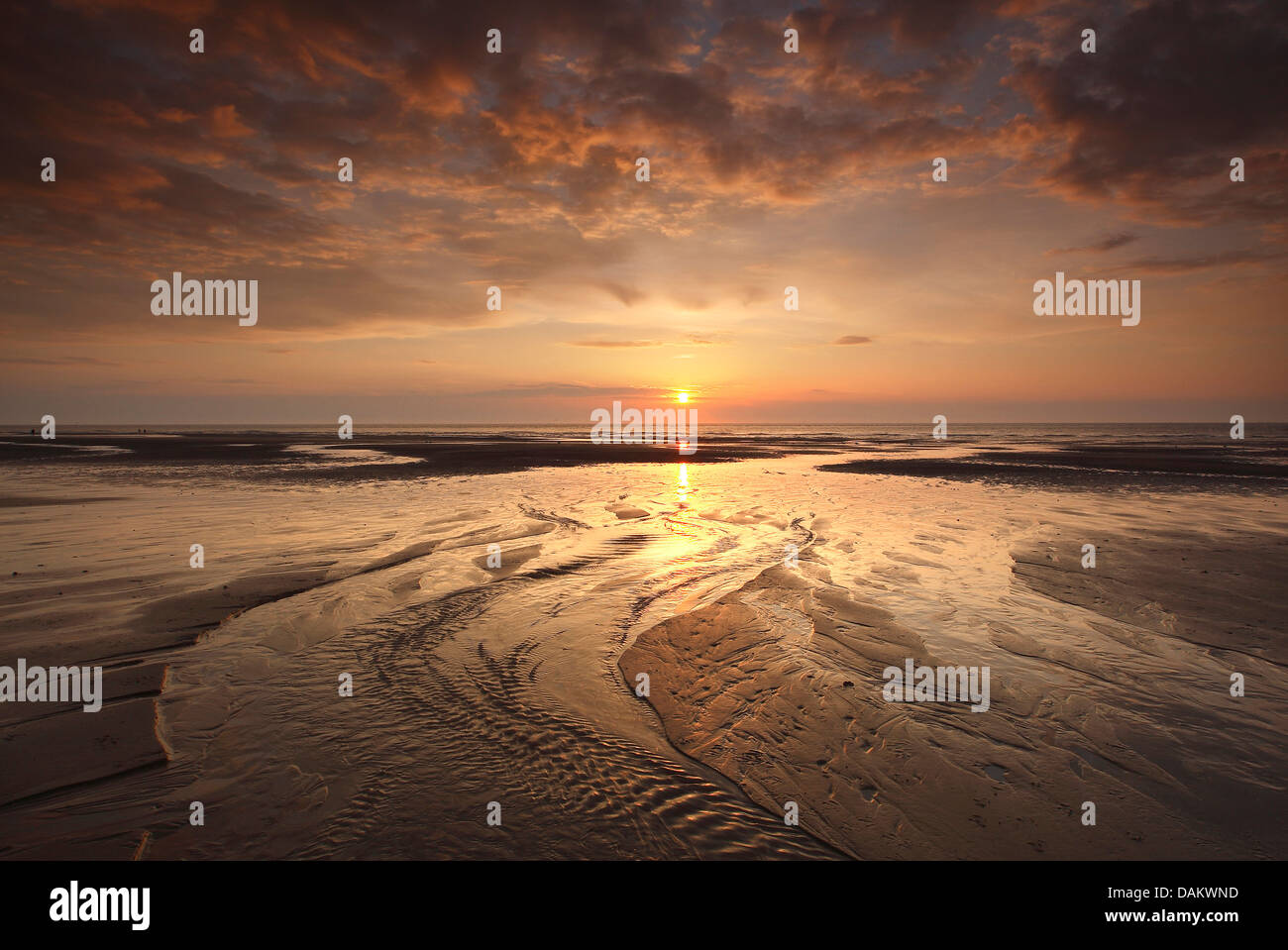 Mudflats during low tide at sunset, Netherlands Stock Photo - Alamy