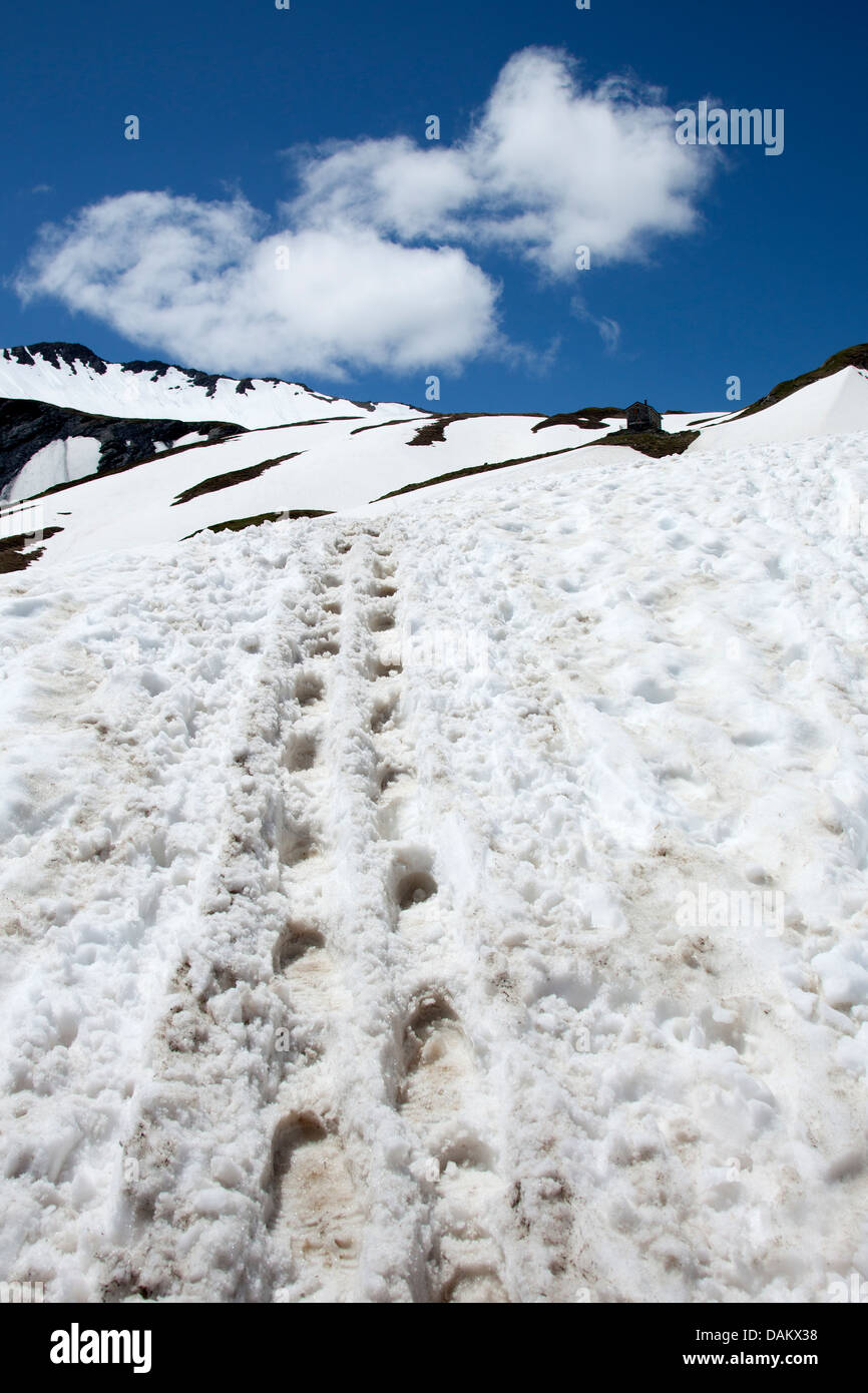Foot steps in snow Stock Photo - Alamy
