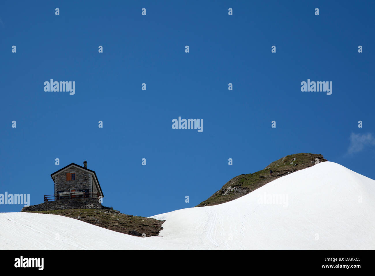 Veny hi-res stock photography and images - Alamy