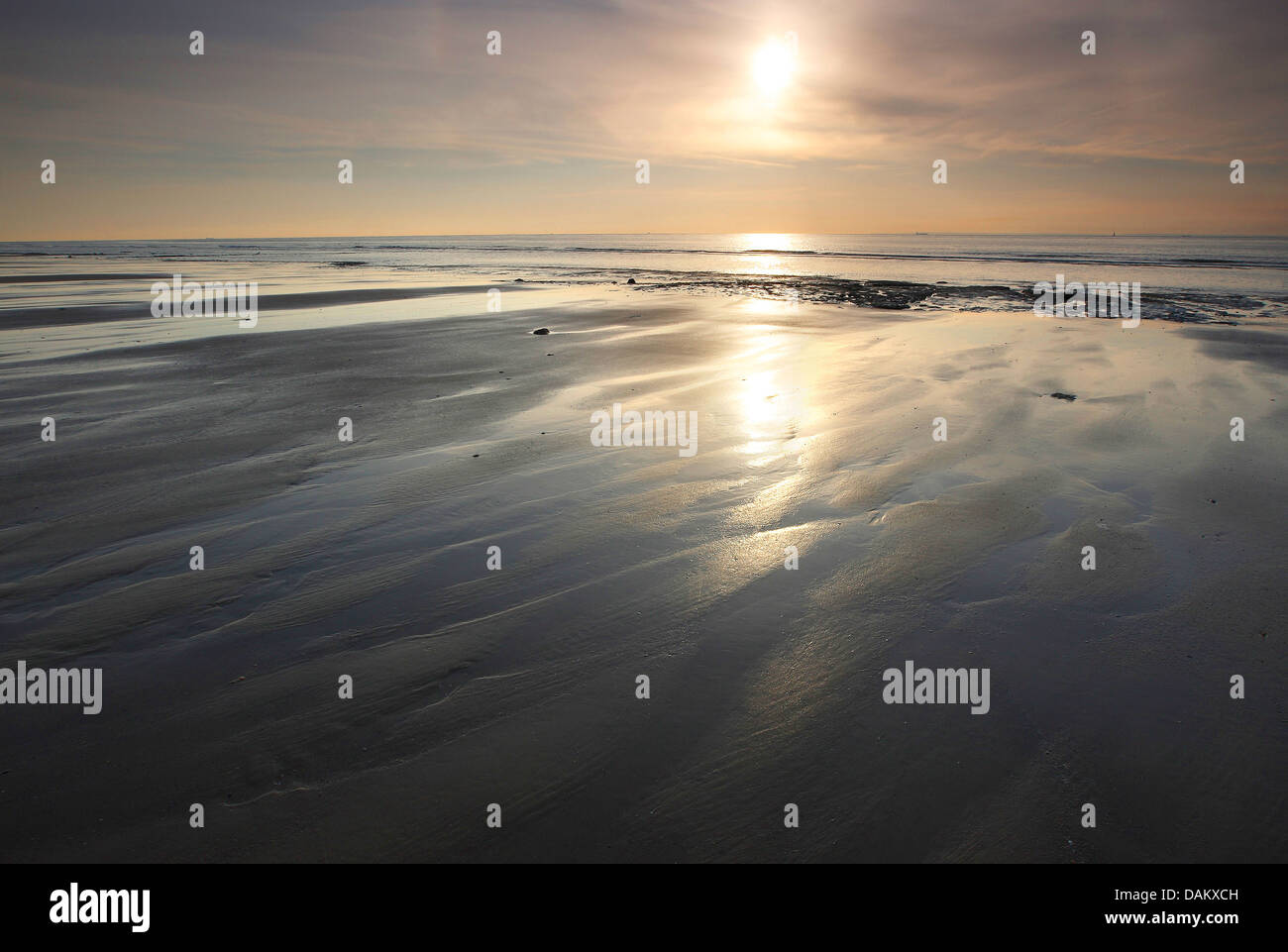 Mudflats during low tide at sunset hi-res stock photography and images ...
