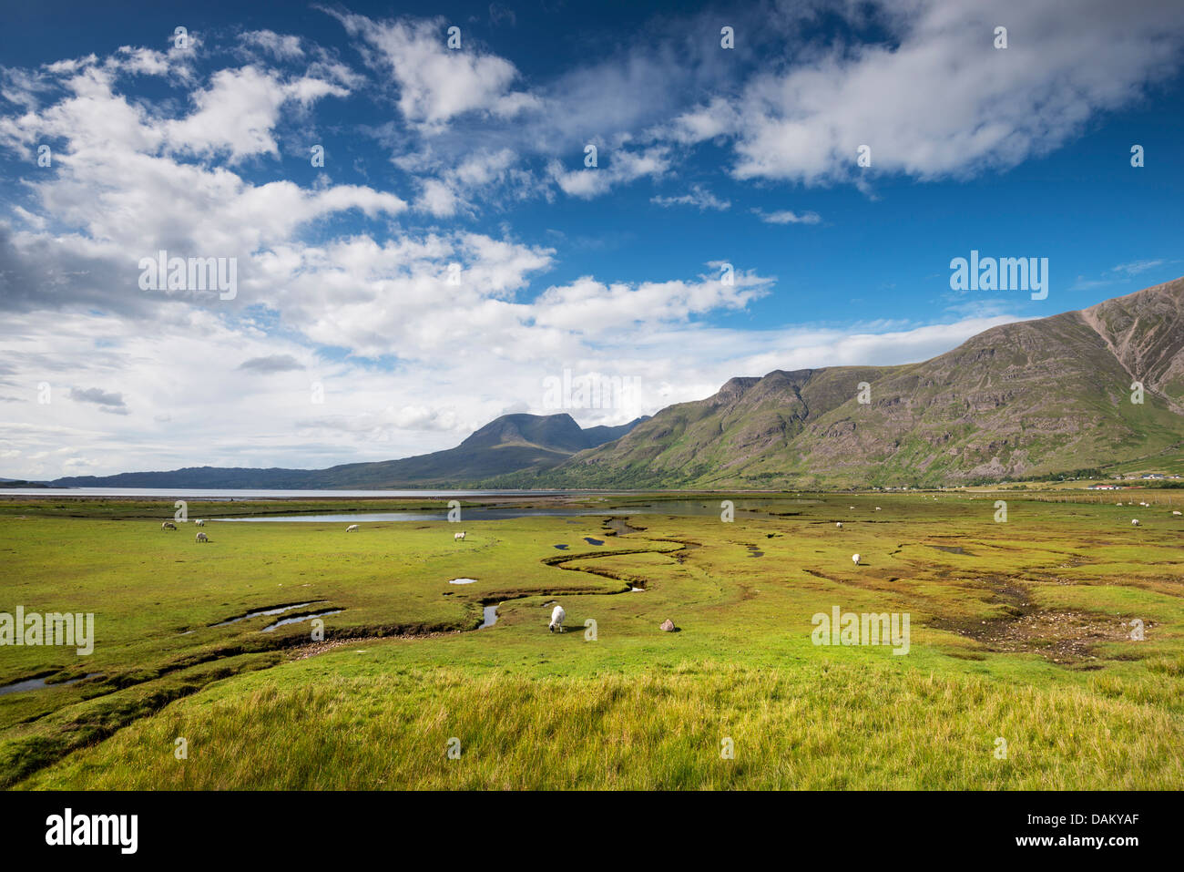 United Kingdom, Scotland, View of marshy landscape at shore of Lake ...