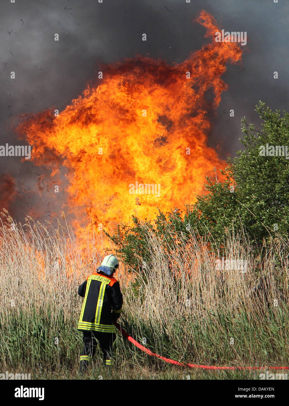 Strong fire fires hi-res stock photography and images - Alamy