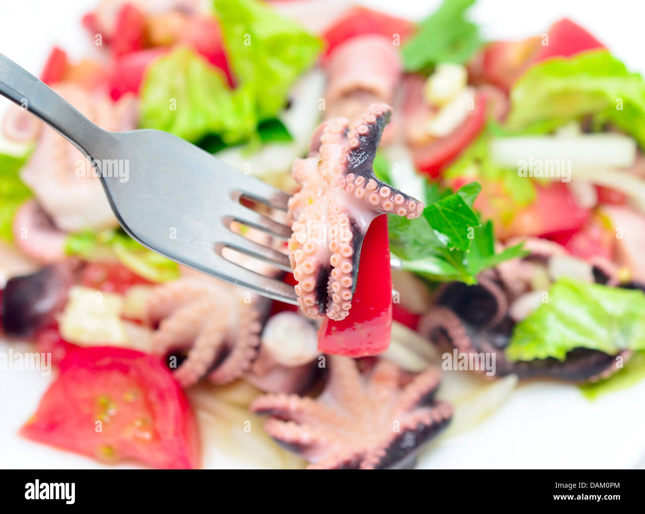 octopus with tomato on a fork against seafood salad Stock Photo - Alamy