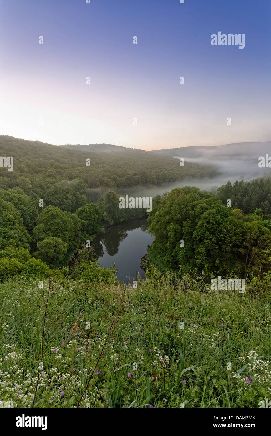 Thaya valley national park hi-res stock photography and images - Alamy