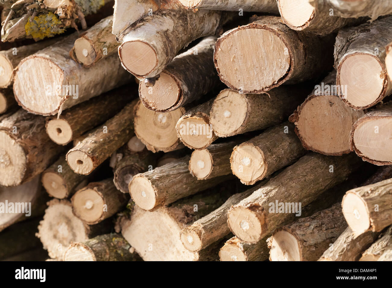 Germany, Laupheim, Stack of wood, close up Stock Photo - Alamy