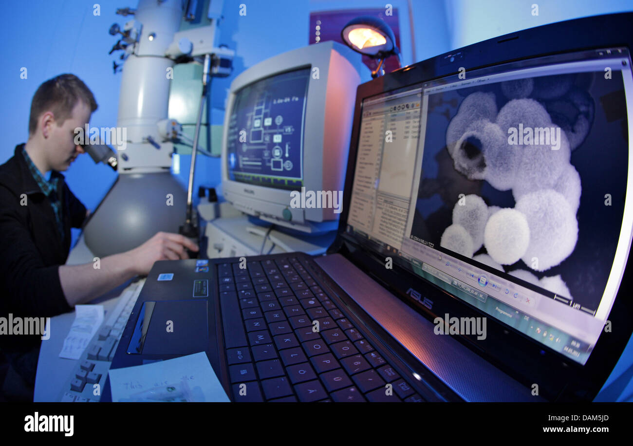 PhD student Patrick With looks through a transmission electron ...