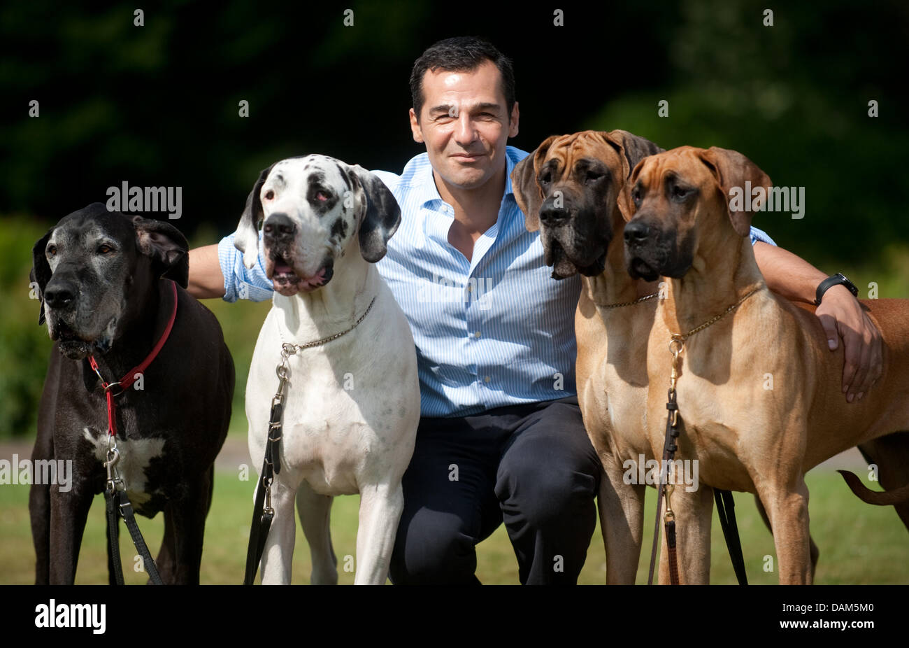 Actor Erol Sander sits between four Great Danes in Dortmund, Germany ...
