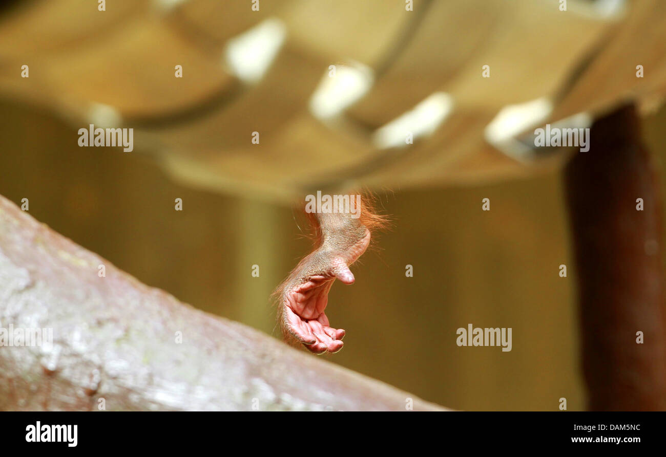 Changis hi-res stock photography and images - Alamy