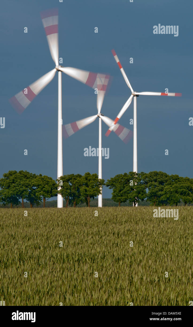 The rotor blades of wind energy plants rotate quickly near Sieversdorf ...