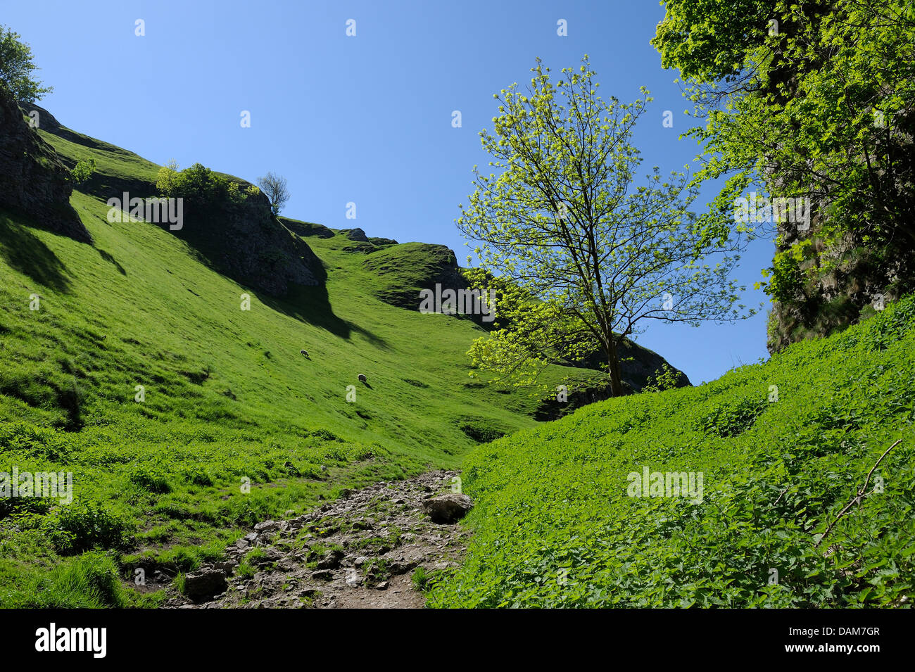Cave dale Castleton Derbyshire England uk Stock Photo - Alamy
