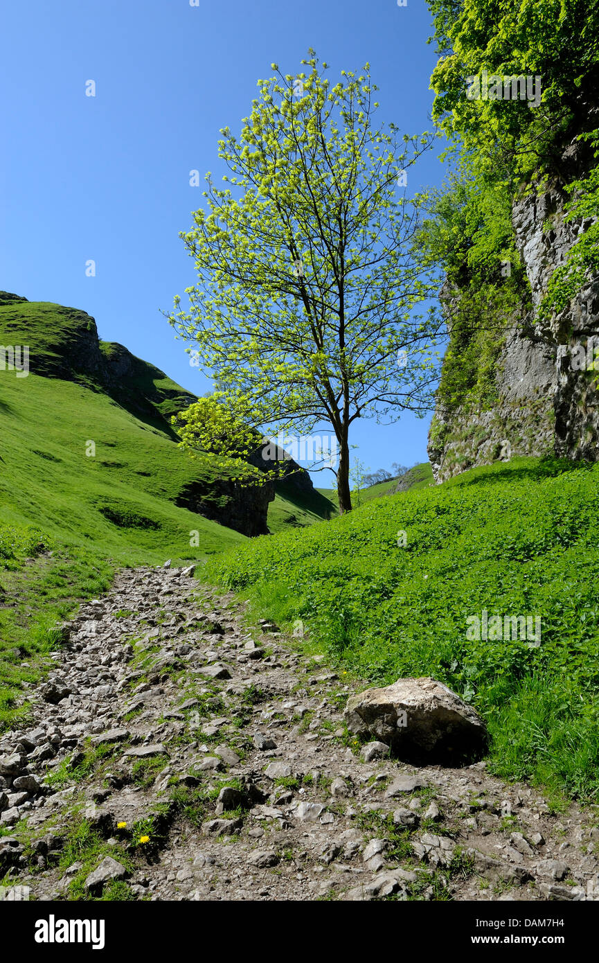 Cave dale Castleton Derbyshire England uk Stock Photo - Alamy