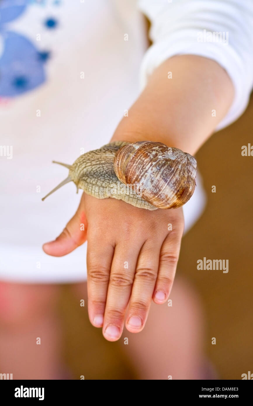 Hand and snail hi-res stock photography and images - Alamy