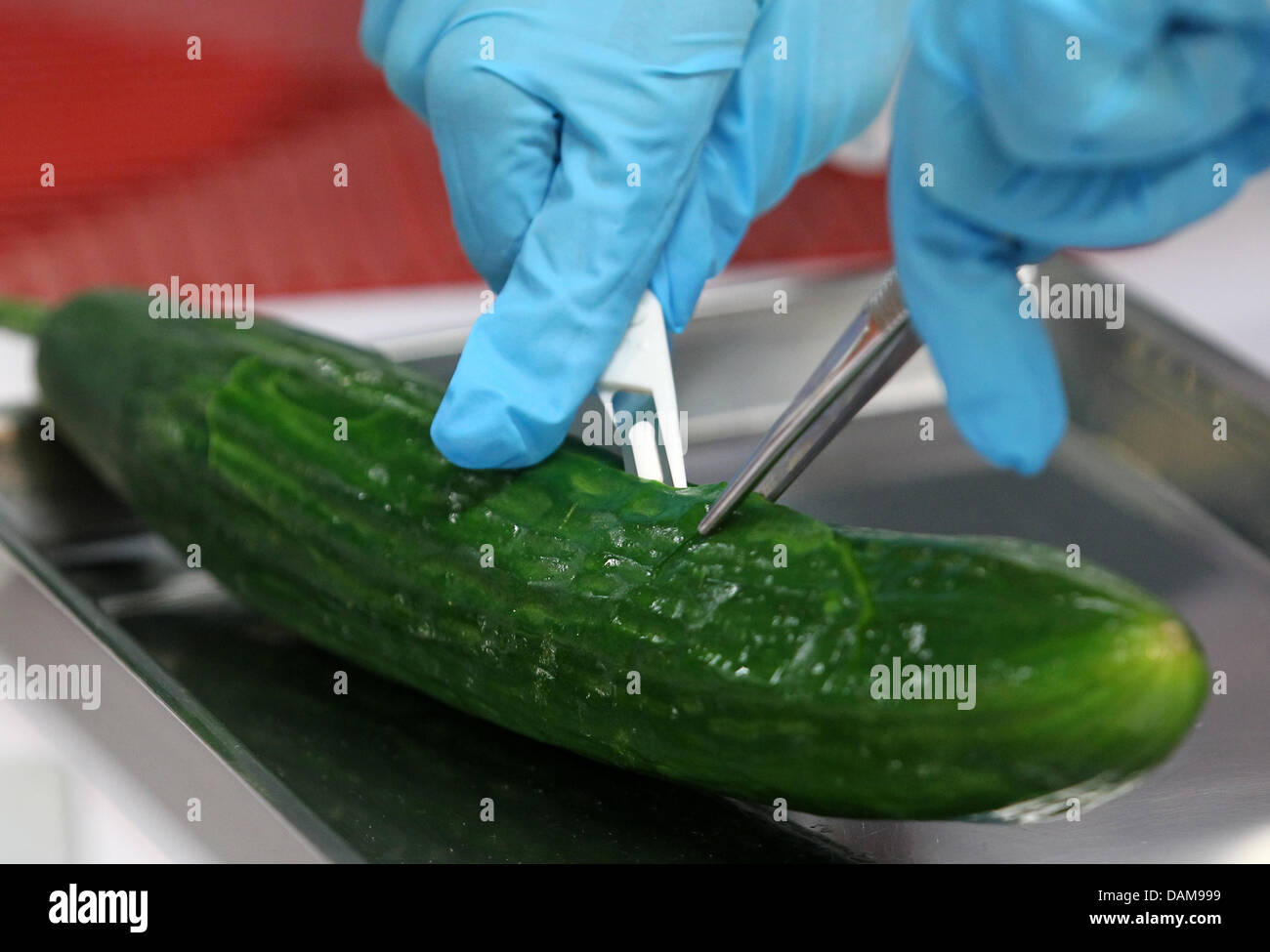 Due to the recent E. coli outbreak in germany, salads and cucumbers are ...