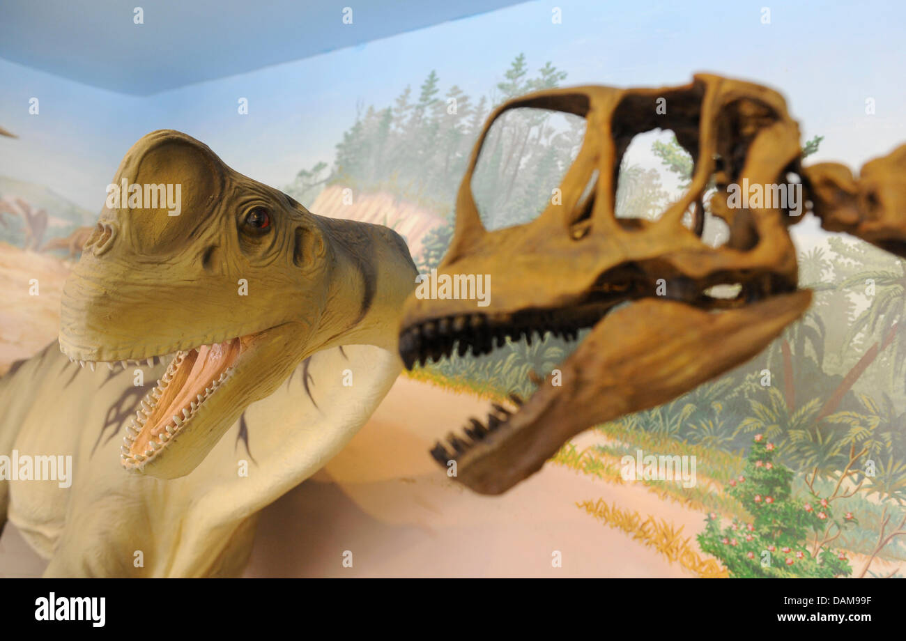 Dwarf Allosaurus