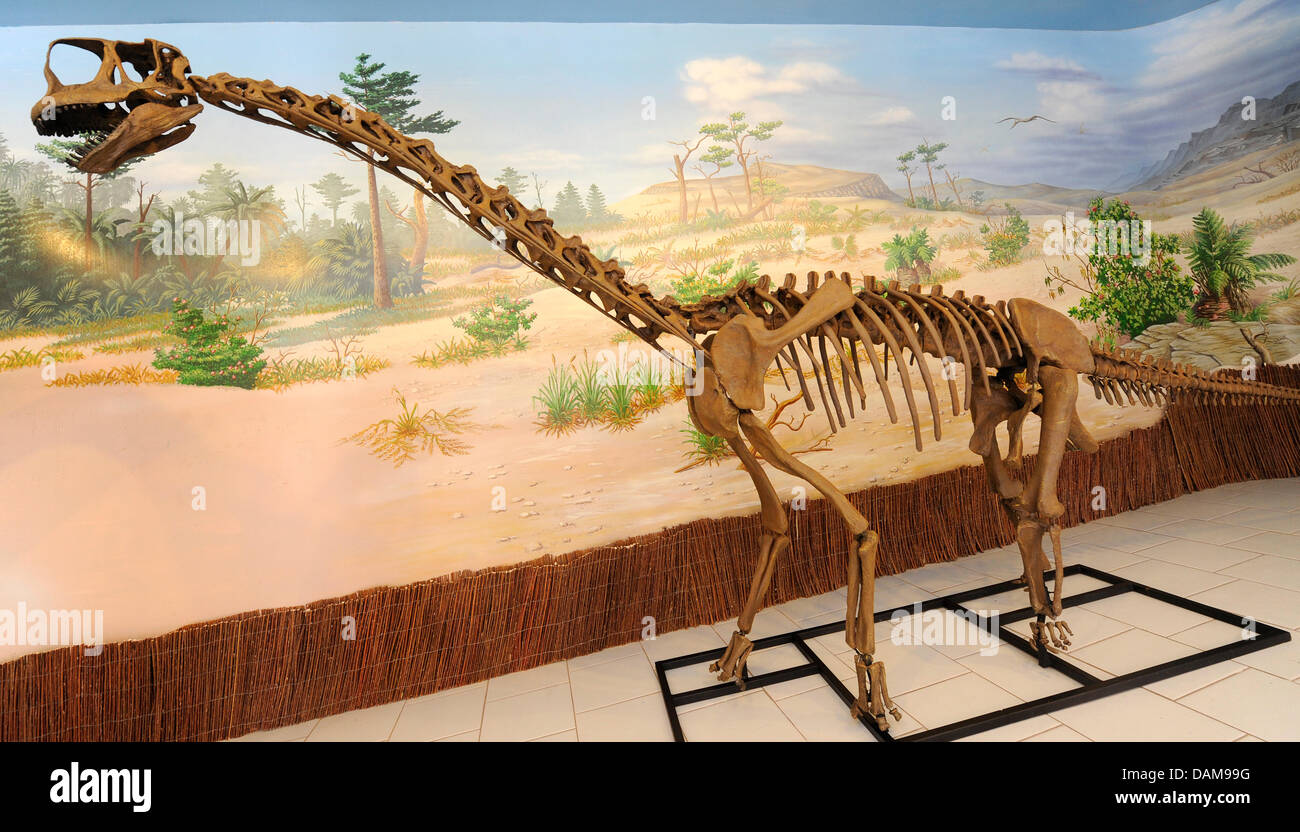 Dinosaur quarry museum hi-res stock photography and images - Alamy