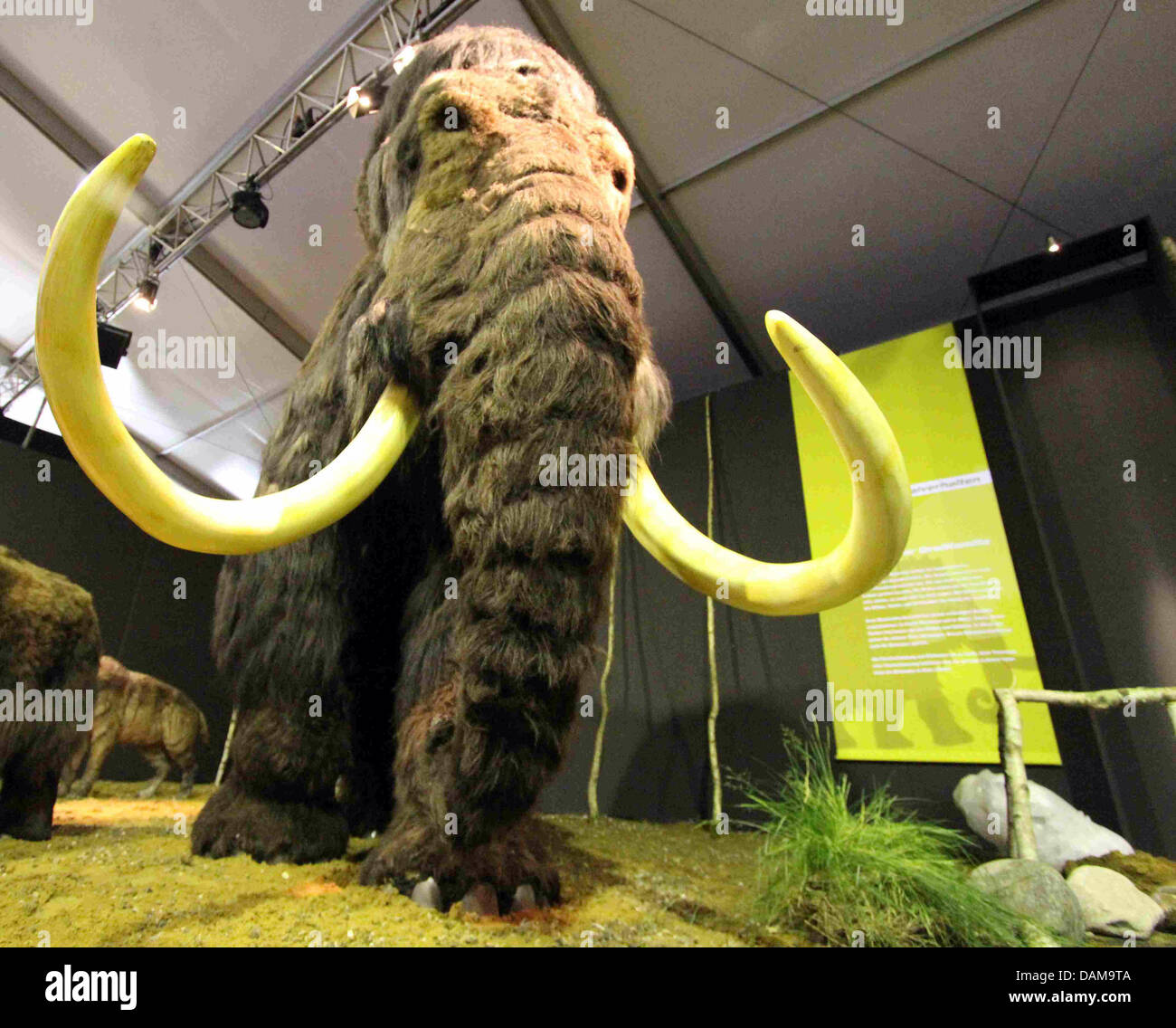 Mammoths ice age hi-res stock photography and images - Alamy