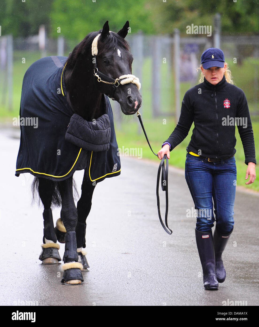 A groom takes dressage horse Totilas to the Olympic riding complex in ...