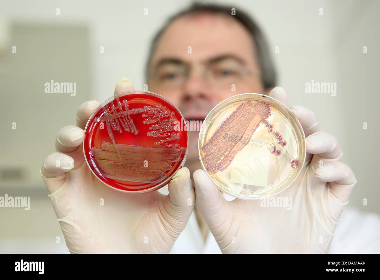 The director of the institute for infectious medicine at the university ...