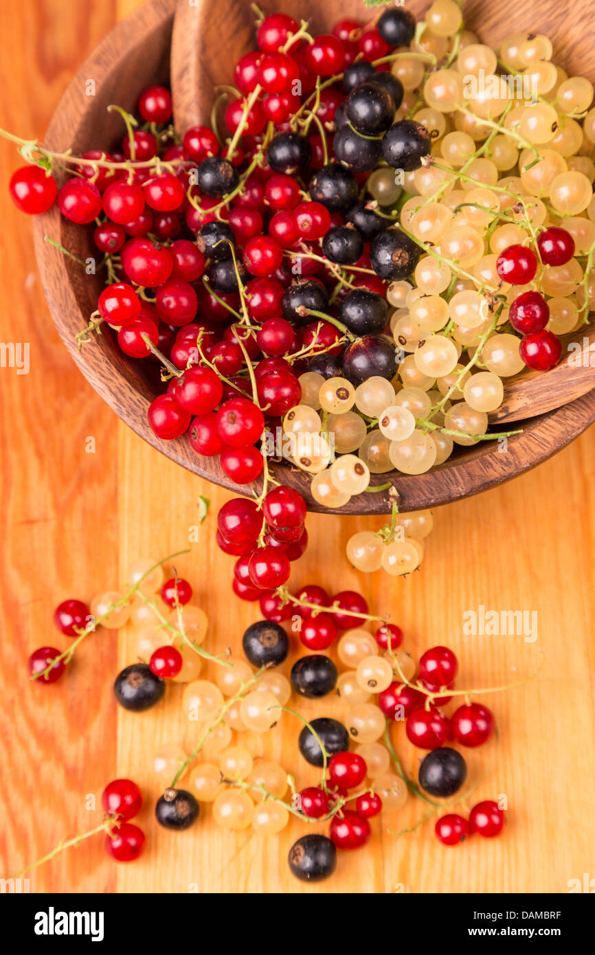 currants different of colors - red, black, white Stock Photo - Alamy