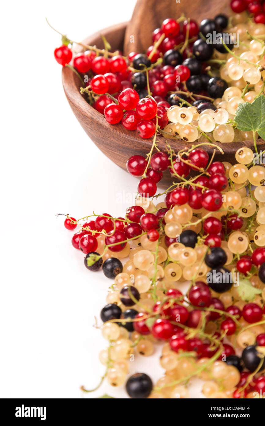 currants different of colors - red, black, white Stock Photo - Alamy