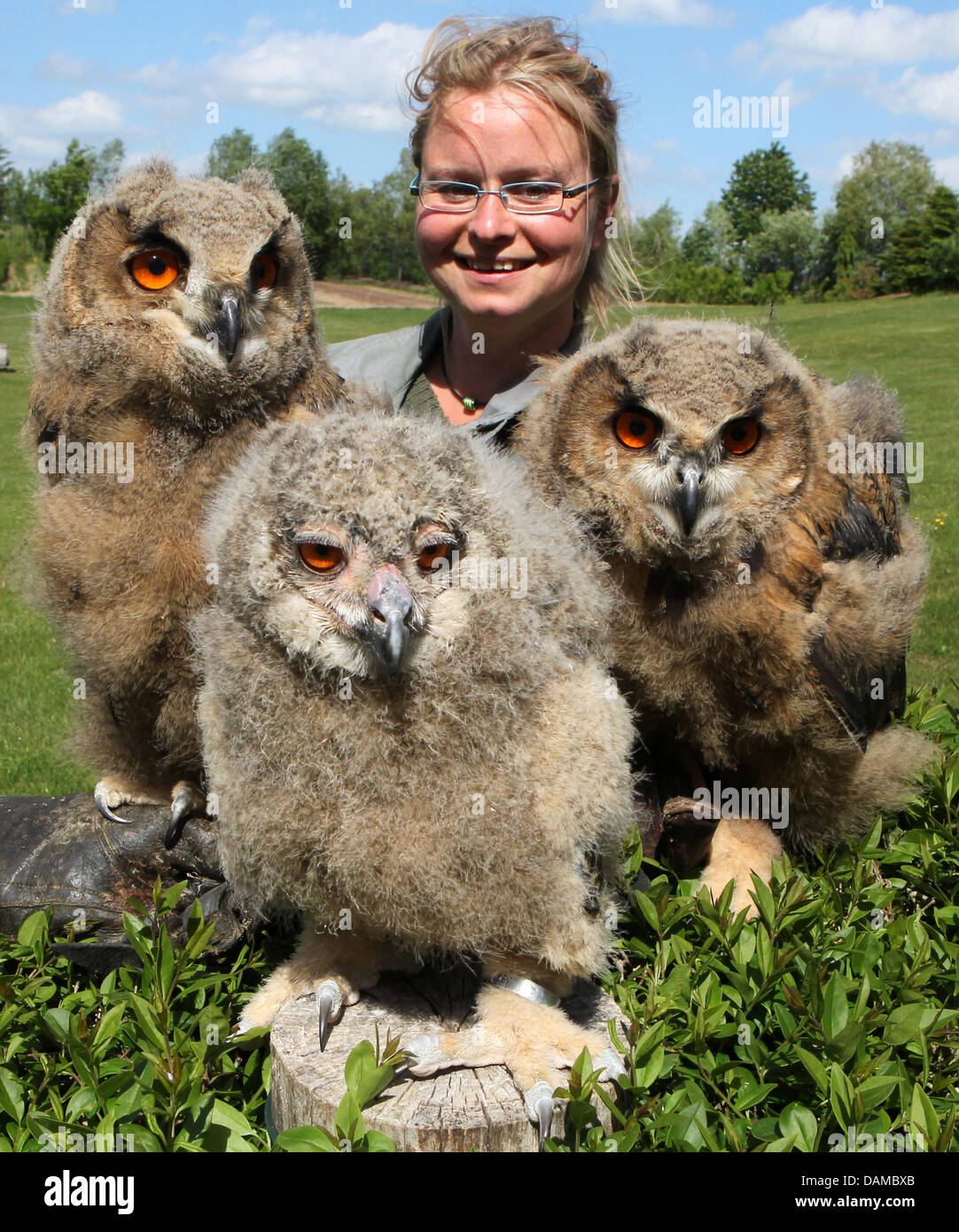 Melogy hi-res stock photography and images - Alamy