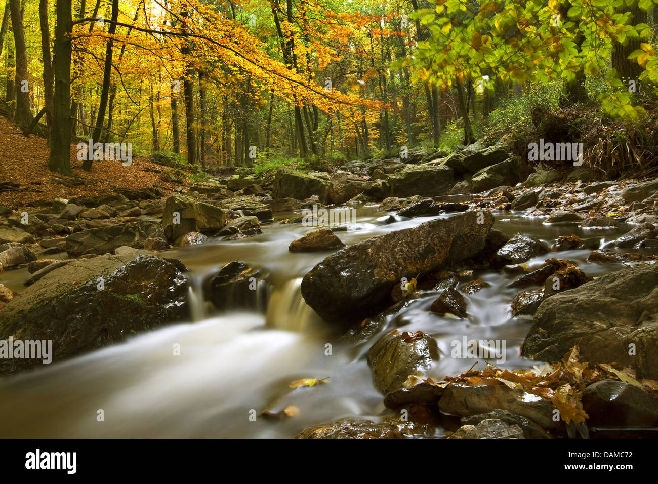 High fens w hi-res stock photography and images - Alamy