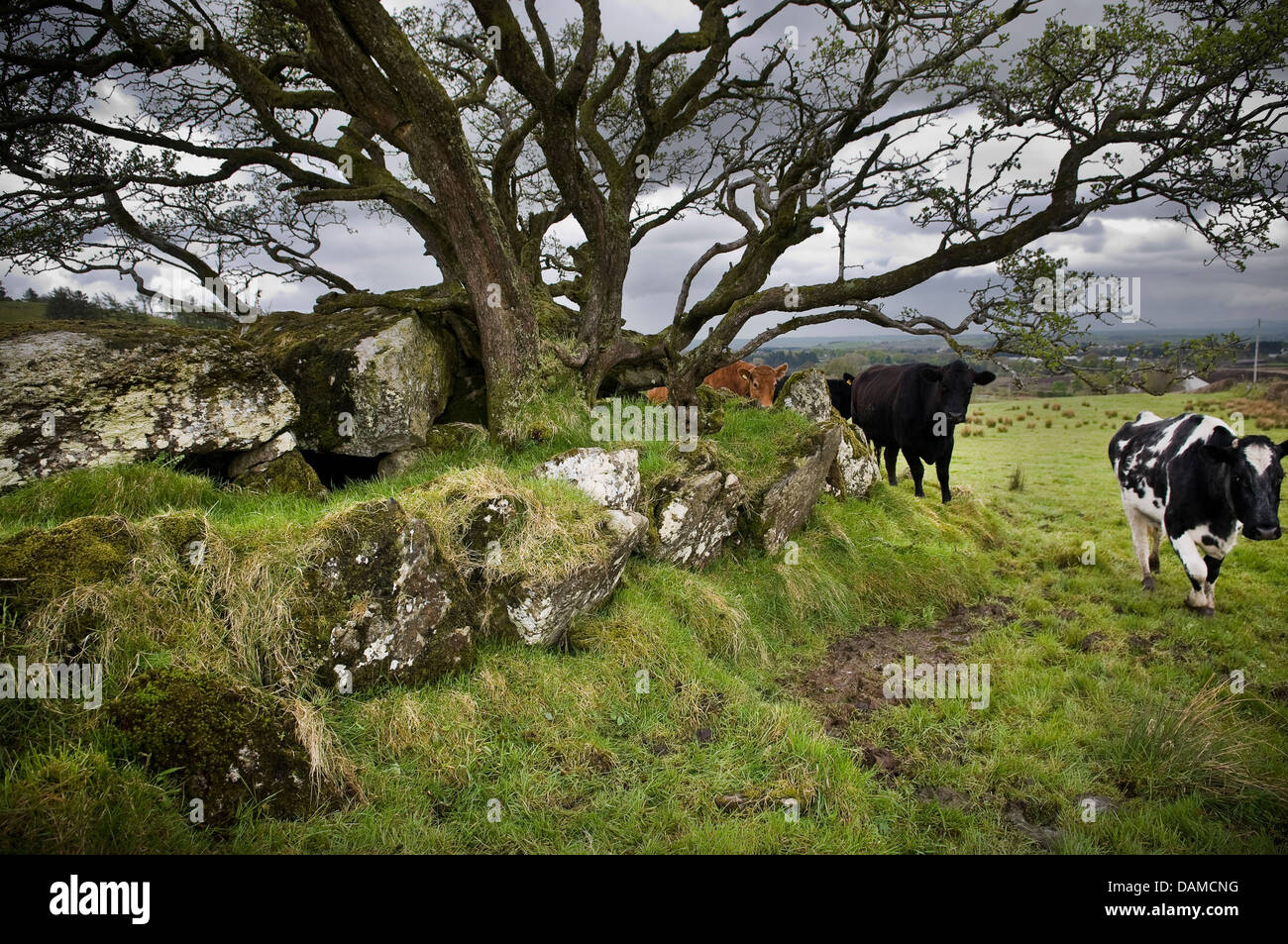 Neolithic farming ireland hi-res stock photography and images - Alamy