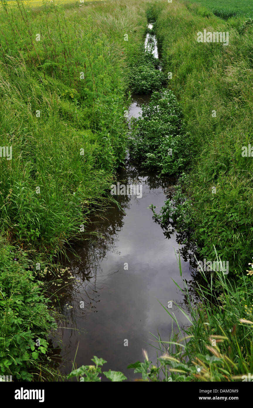 Green field river running through hi-res stock photography and images ...
