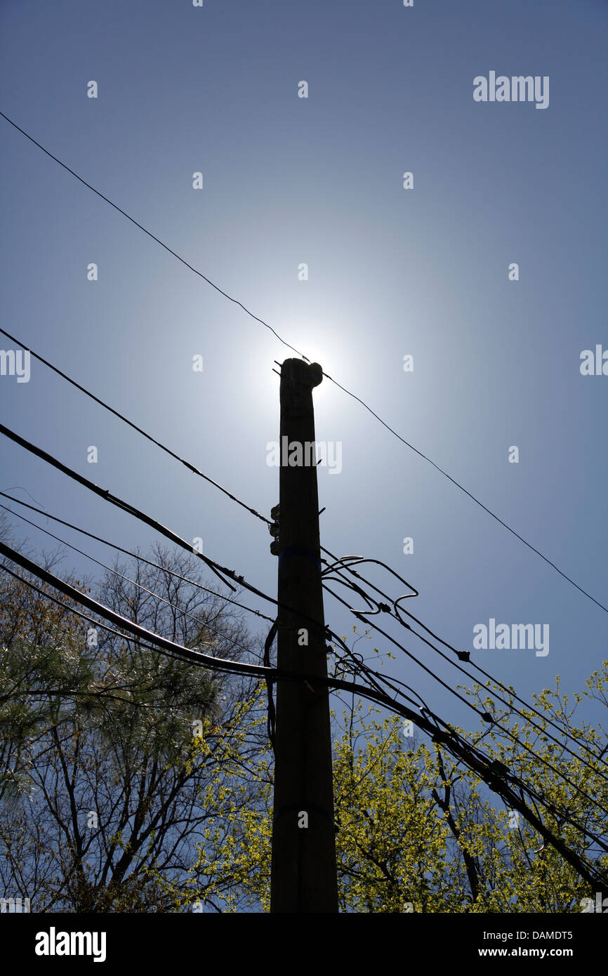 Directly at sun hi-res stock photography and images - Alamy