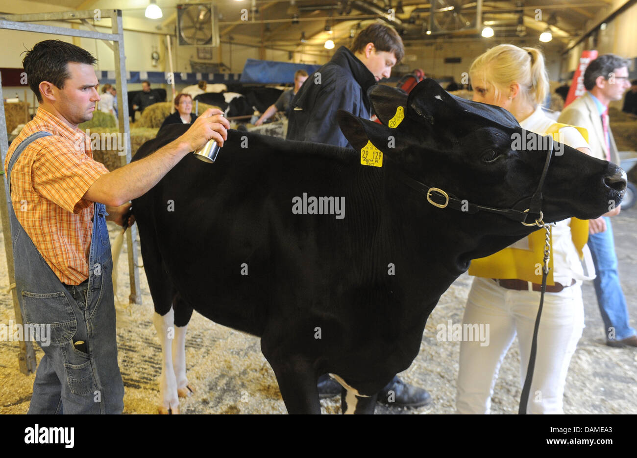 Oldenburg In Holstein High Resolution Stock Photography and Images - Alamy