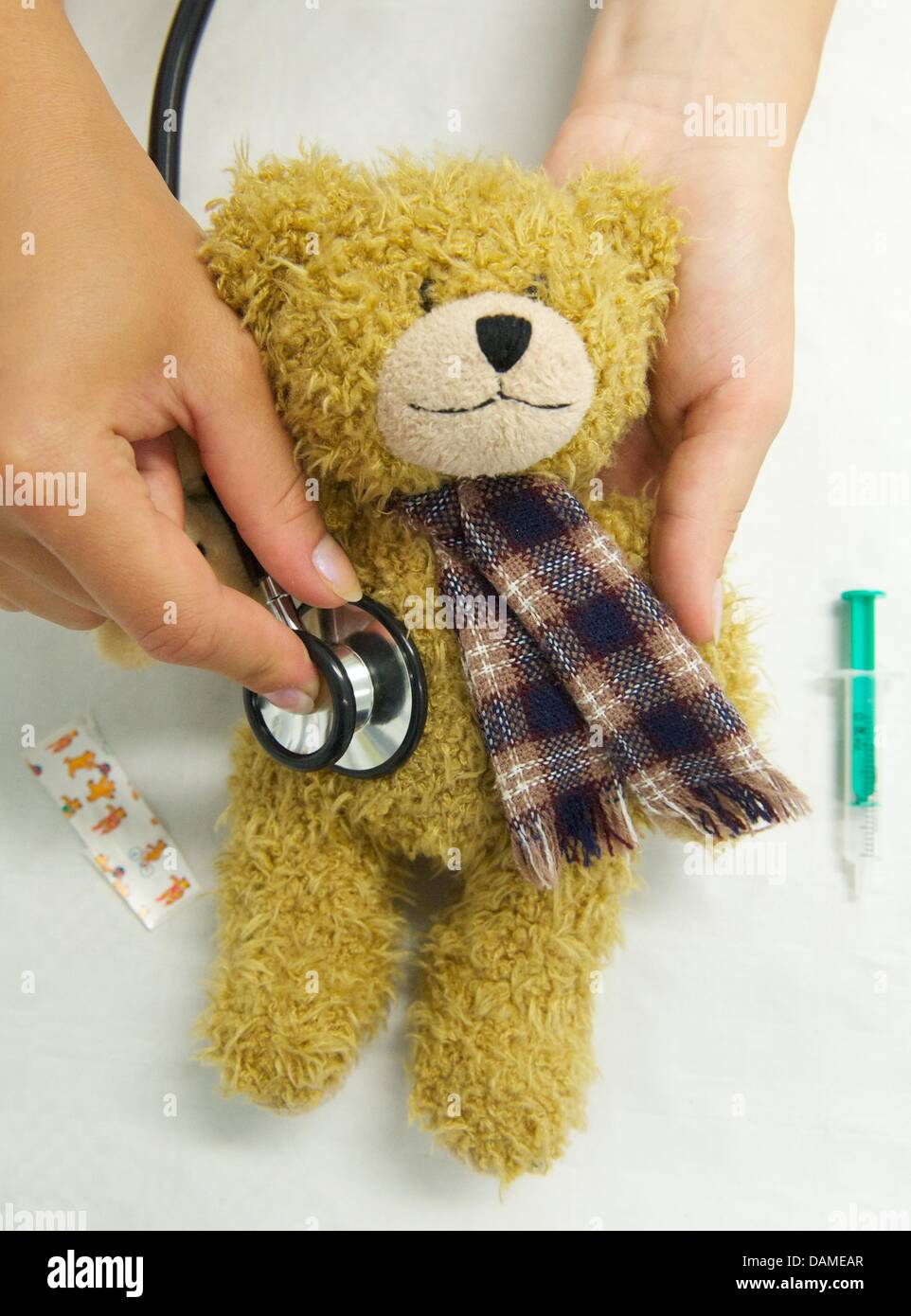 A student of medicine examines the health condition of a stuffed animal ...