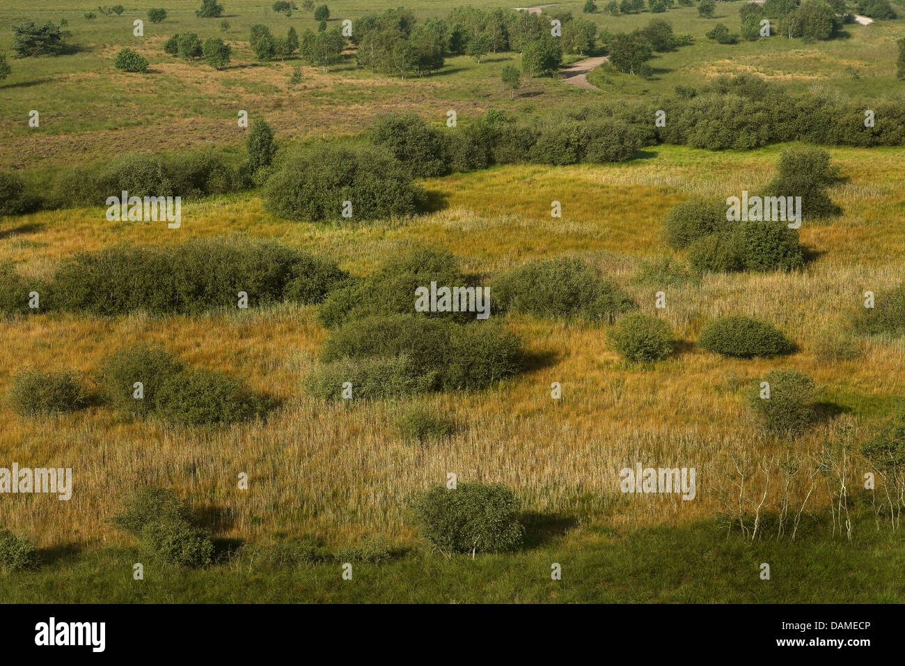 Teut hi-res stock photography and images - Alamy