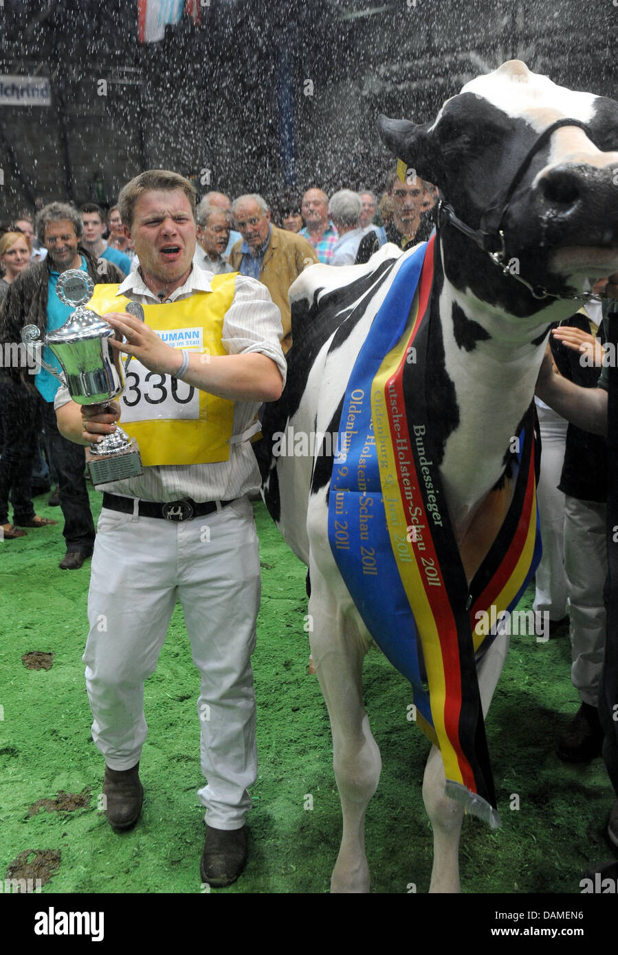 Leader and part-owner of Germany's most beautiful Holstein cow "Krista ...