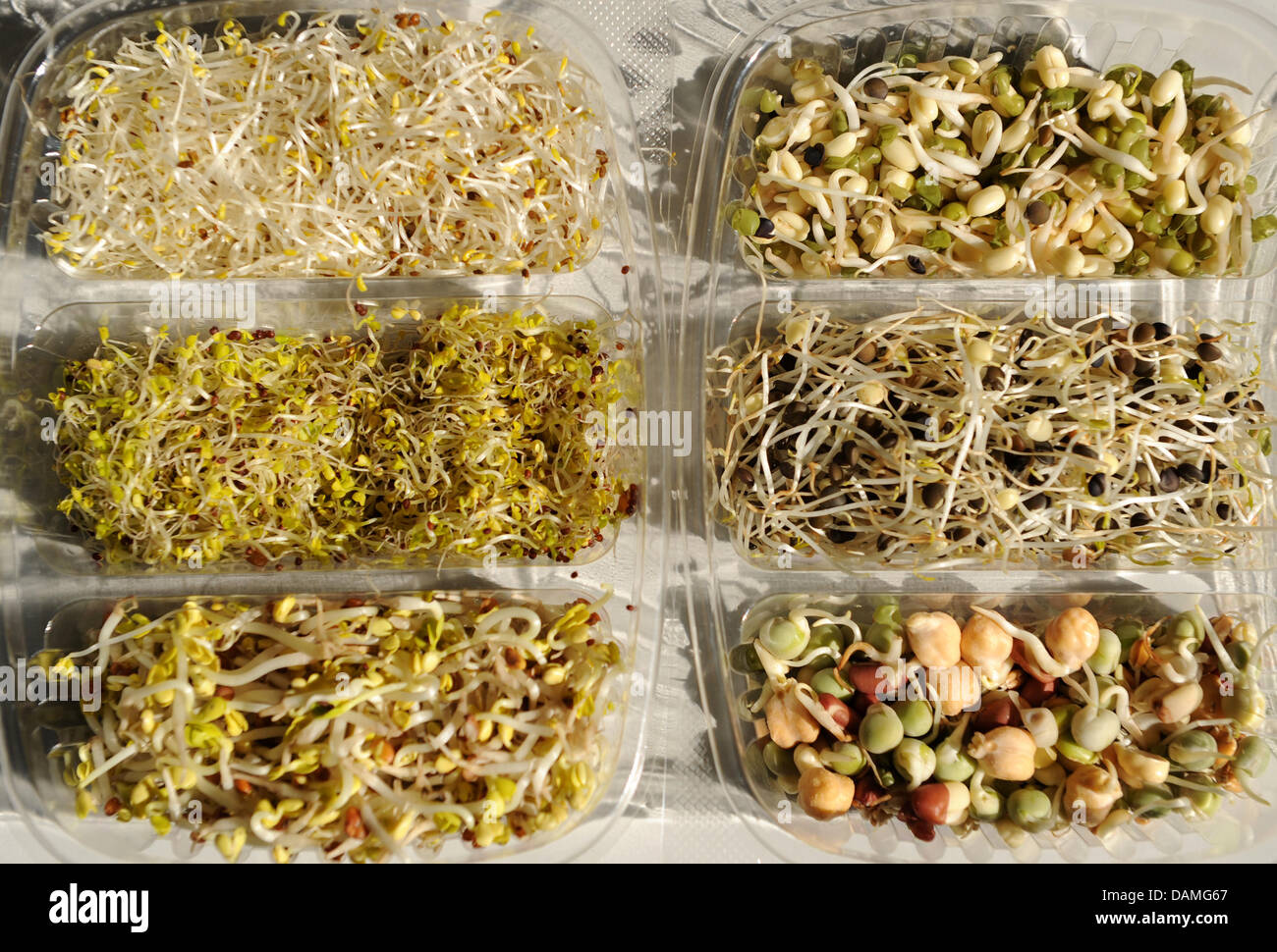 Ayguel oezkan hi-res stock photography and images - Alamy
