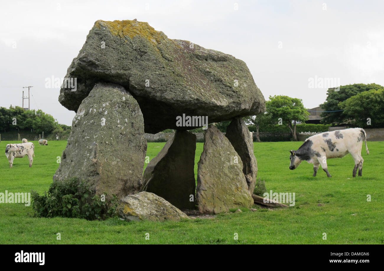 The stone tomb Carreg Samson stands near Abercastle, Wales, 17 May 2011 ...