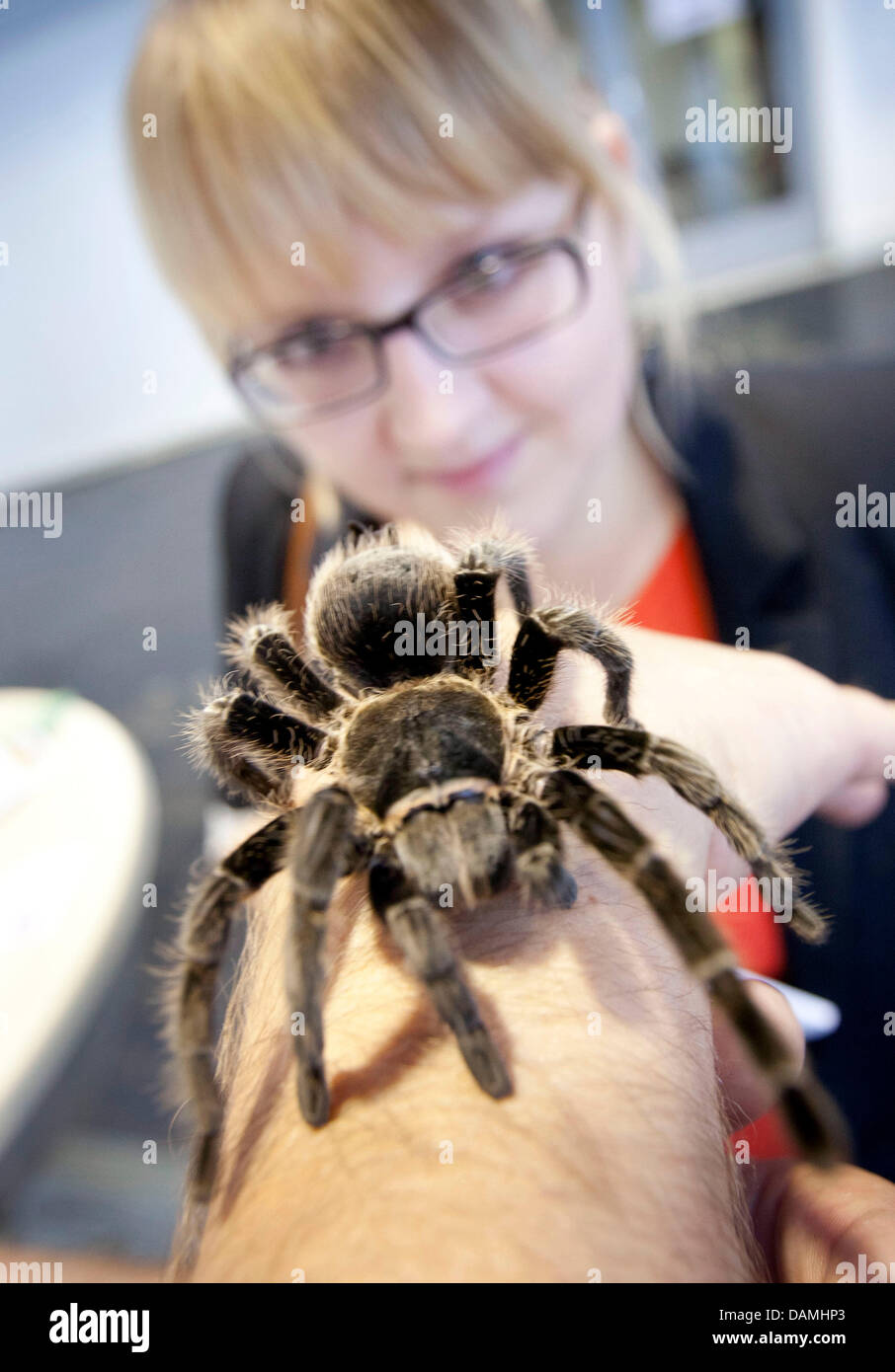 A woman looks at a tarantula at the 'Reptilium' stand from Landau at ...