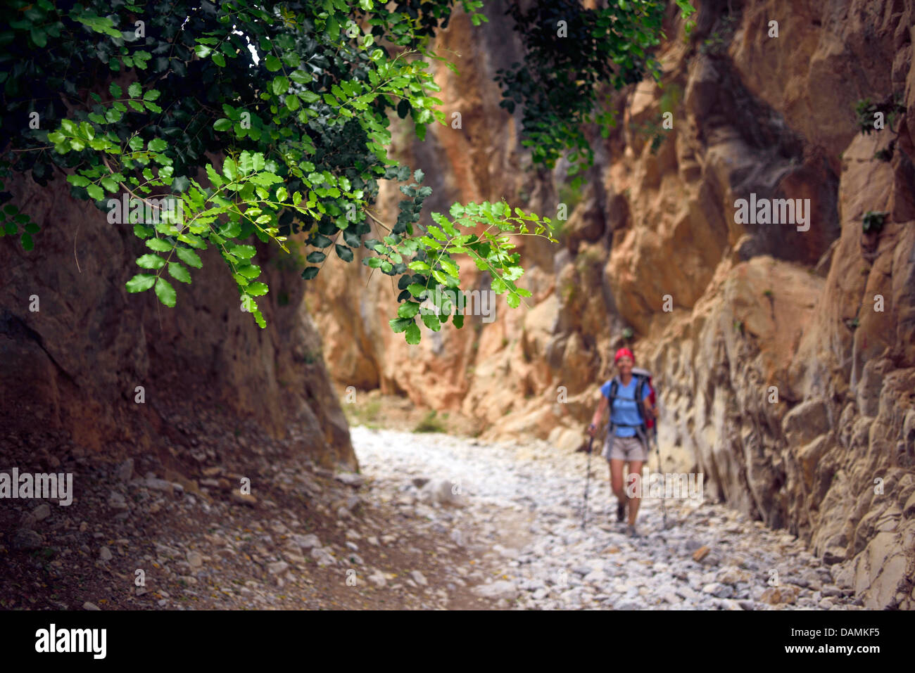 female wanderer at the Canyon of Aradena near loutro village, south ...