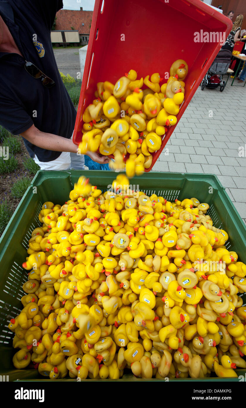 A man empties boxes with yellow rubber ducks at the rehabilitation and ...