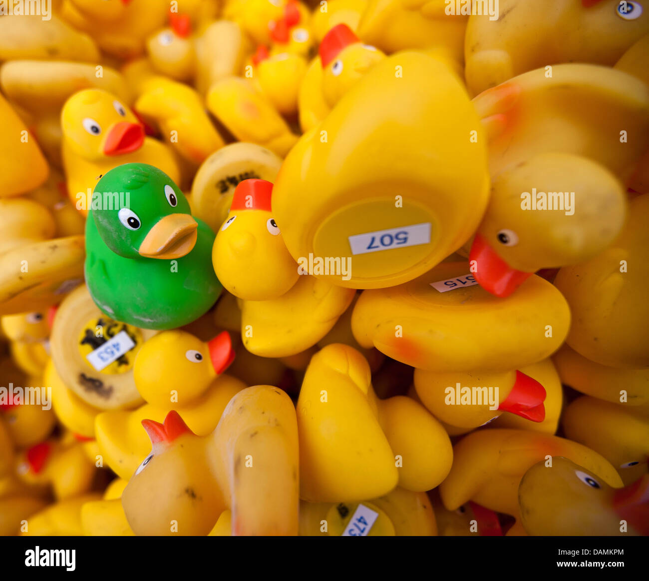 Gamig hi-res stock photography and images - Alamy